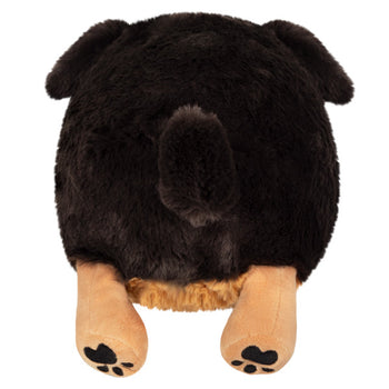 Mini Squishable Fluffy Dachshund