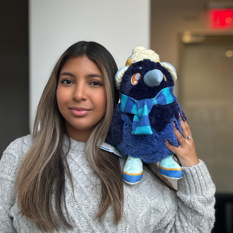 Squish Lodge: Mini Squishable Winter Raven