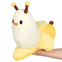 Preorders – Squishable