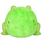 Squishable Frog