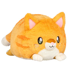 Standard Squishables!